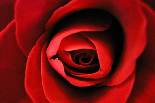 Beautiful Rose - richtig guter Oldie aus Holland - George Baker ...